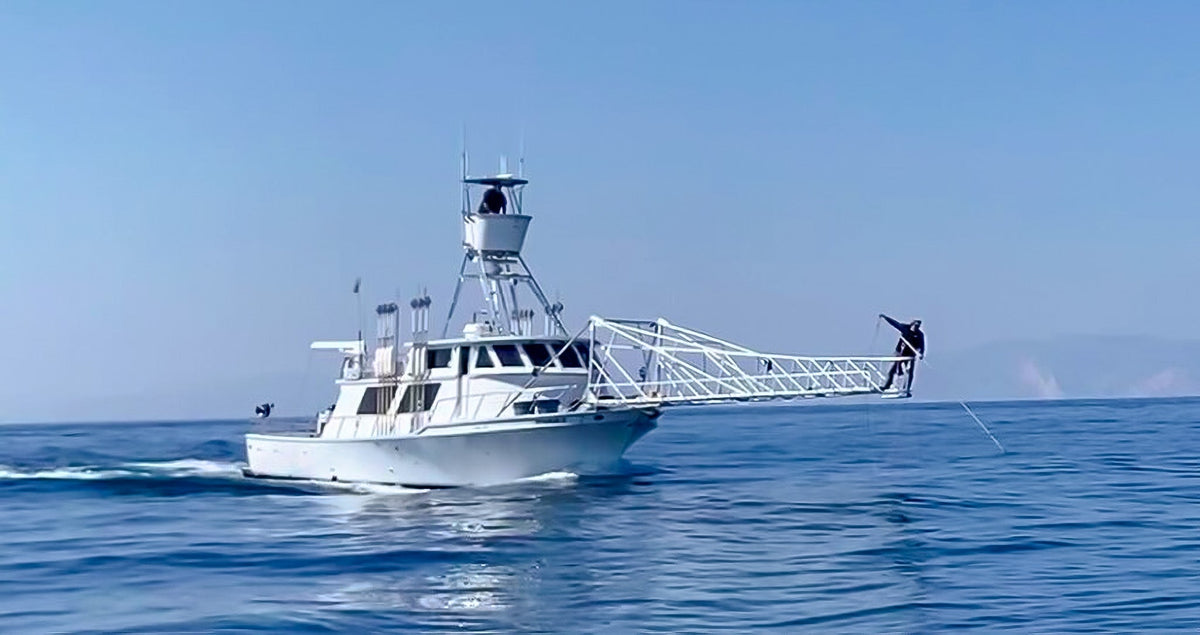 Harpooned Swordfish: Precision Fishing, Zero Bycatch, and a Vanishing ...